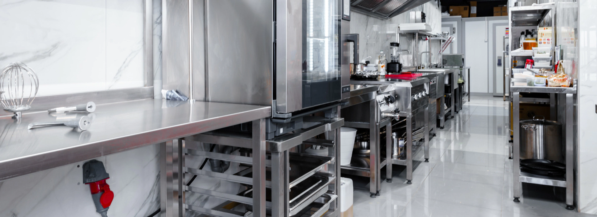Food Facility & Prep Kitchen Pest Control Las Vegas, NV | Call Today!