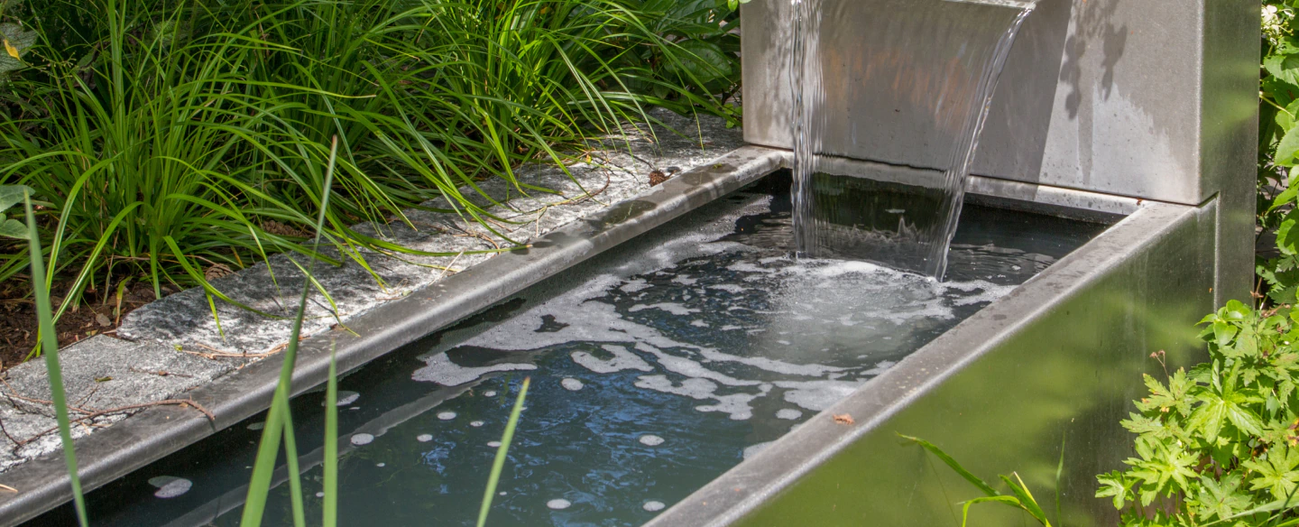 Aquatic Feature Pest Management Las Vegas, NV | Full Inspection